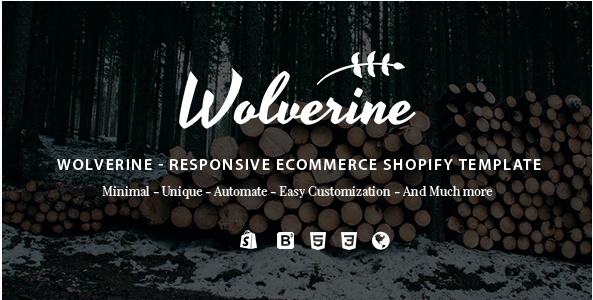 50+ Best Responsive e-commerce Shopify Themes