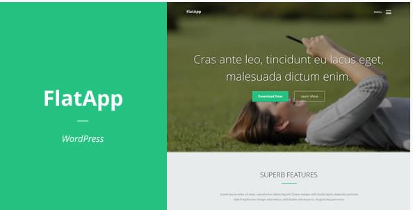 25 Best App Showcase WordPress Themes 2020