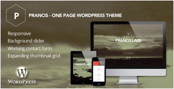 41+ Best WordPress One Page Themes 2020