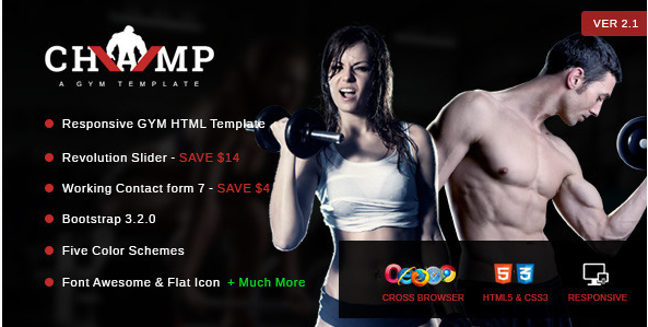 36 Best Fitness HTML Website Templates 2020 For Gym Club & Yoga