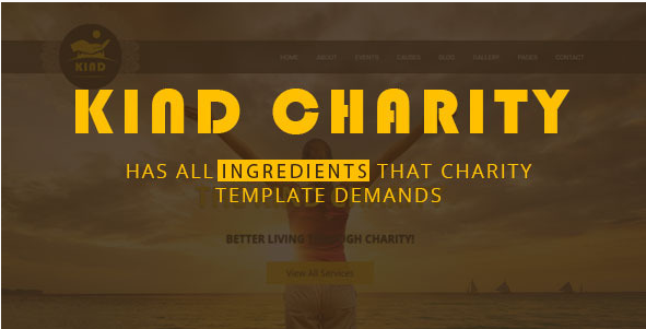 47 Best Charity HTML Website Templates 2020 | Wpshopmart