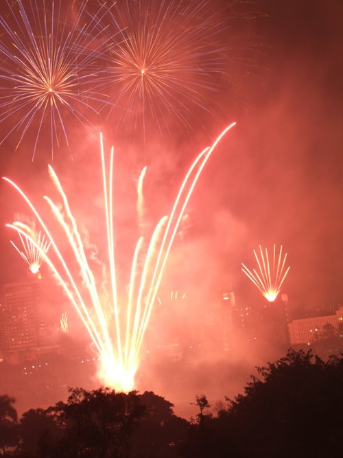 30+ Amazing FireWork Photography Examples