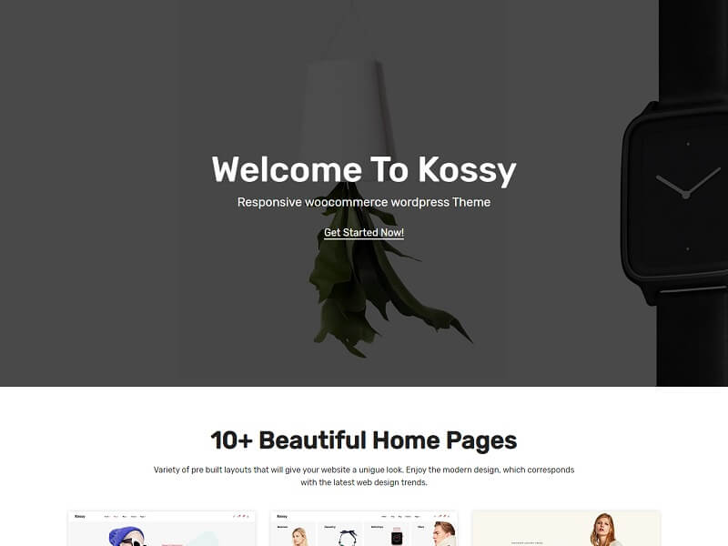 38 Best Minimalist WordPress Themes 2020 - Wpshopmart